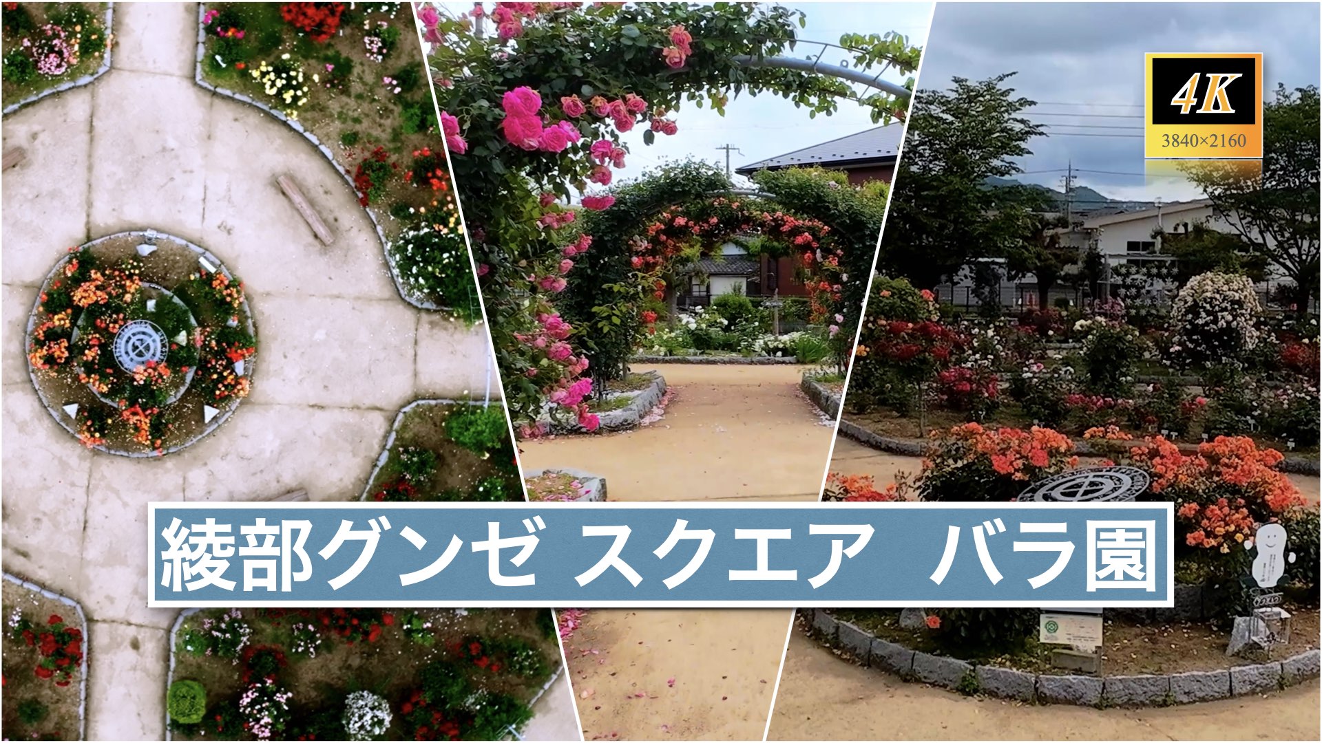 綾部市グンゼスクエア バラ園をドローンで空撮 - OFFICE WADA (オフィス和田) 北近畿地域で活動